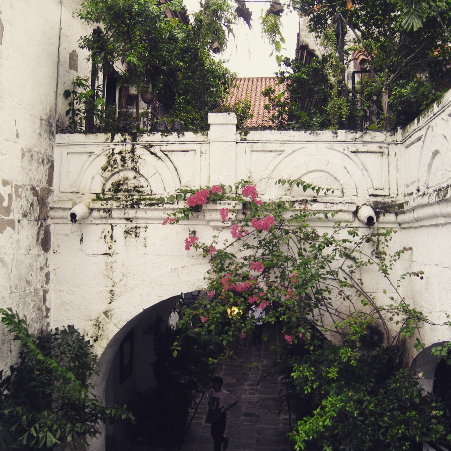 The 10 Best Places for the Unique Philippines Experience