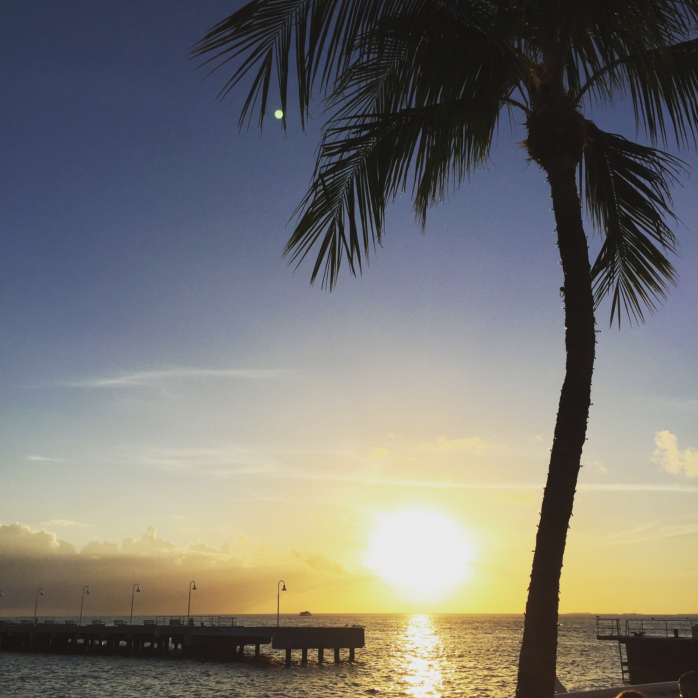 Exploring The Most Interesting & Special Things In Key West