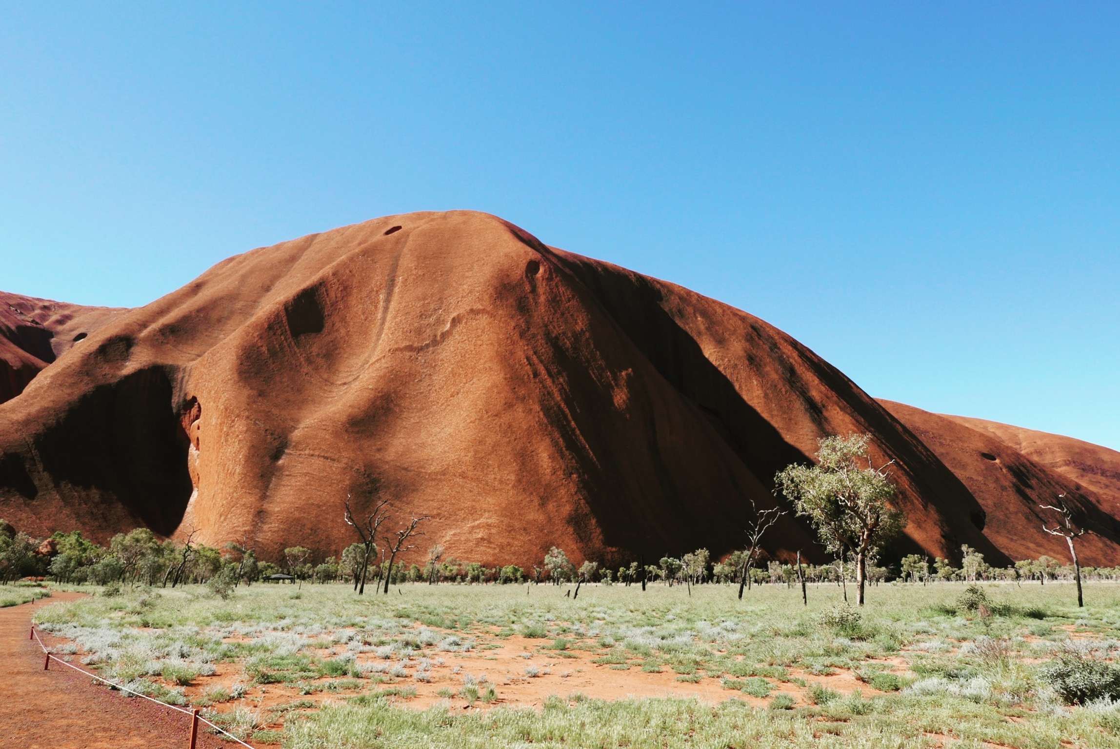The Best Adventure to the Belly Button of the Earth
