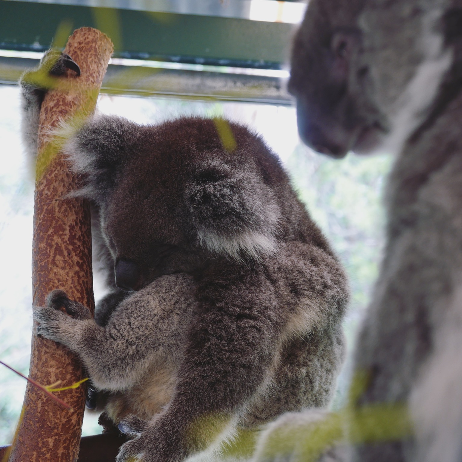 How to Spend 4 Days Experiencing the Best of the Greater Perth